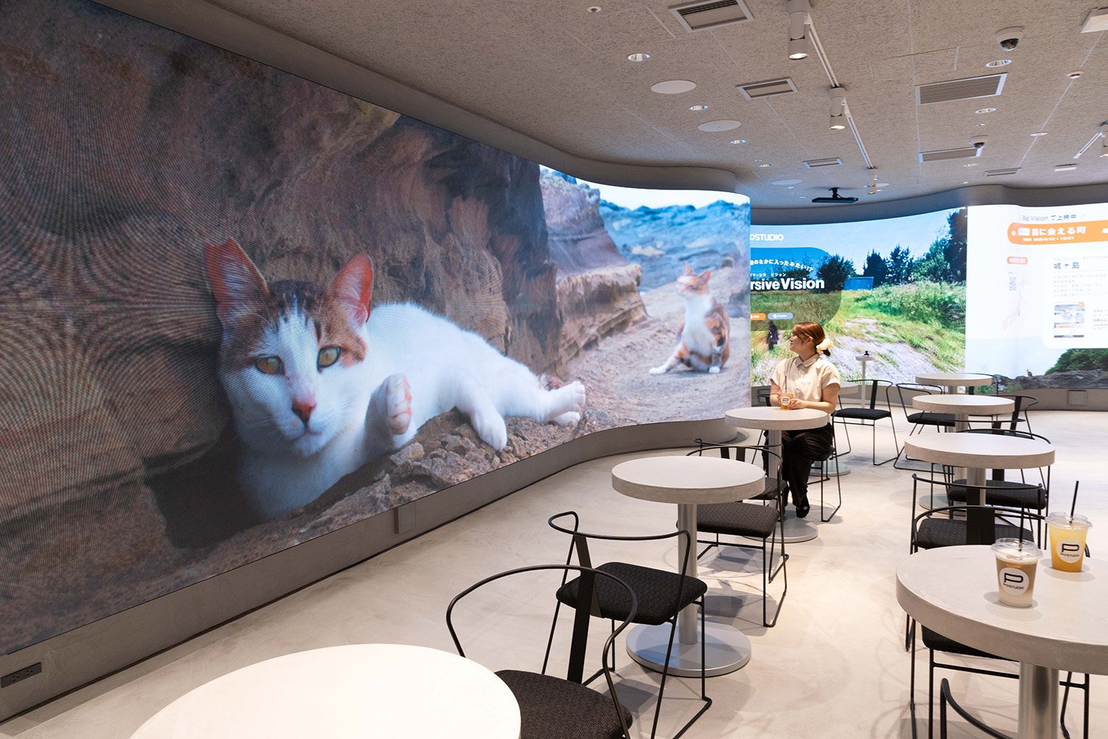 「好き」が、あなたを連れていく。ニュウマン高輪に「POSTUDIO」オープン！｜JP CAST（郵便局の魅力を発信するメディア）